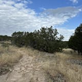 Gorman Falls Trail, Texas - 1,164 Reviews, Map | AllTrails