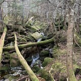 Mount Jackson and Mount Webster Trail Loop, New Hampshire - 2,460 ...