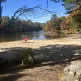 Breakheart Reservation Loop, Massachusetts - 1,037 Reviews, Map | AllTrails