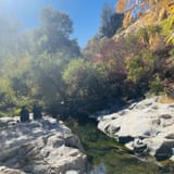 Natural Bridge Trail, California - 1,401 Reviews, Map | AllTrails