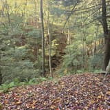 Gerard Hiking Trail, Pennsylvania - 300 Reviews, Map | AllTrails