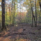 Gerard Hiking Trail, Pennsylvania - 300 Reviews, Map | AllTrails