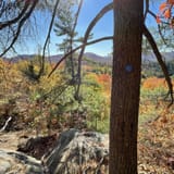 Crane Mountain Loop Hike, New York - 1,493 Reviews, Map | AllTrails