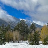 Inner Basin Trail, Arizona - 881 Reviews, Map | AllTrails