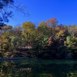 Colyer Lake Loop, Pennsylvania - 796 Reviews, Map | AllTrails