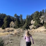 Beaver Ponds Loop Trail, Montana - 1,572 Reviews, Map | AllTrails