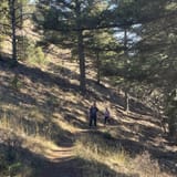 Beaver Ponds Loop Trail, Montana - 1,572 Reviews, Map | AllTrails