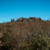 Massie Gap and Wilburn Ridge Loop, Virginia - 1,051 Reviews, Map ...