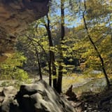 Turkey Run 3, 10, 9, 5 Trails Loop, Indiana - 1,981 Reviews, Map ...