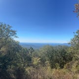 Springer Mountain, Georgia - 691 Reviews, Map | AllTrails