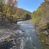 Seneca Rocks Trail, West Virginia - 3,453 Reviews, Map | AllTrails