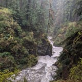 Sol Duc Falls Trail, Washington - 6,669 Reviews, Map | AllTrails
