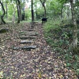 Anchorage Trail, Kentucky - 765 Reviews, Map | AllTrails