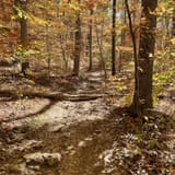 Whitaker Point Trail (Hawksbill Crag), Arkansas - 4,227 Reviews, Map ...