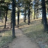 Genesee Mountain Trail Outer Loop, Colorado - 2,152 Reviews, Map ...