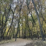 Pike Island Loop, Minnesota - 2,564 Reviews, Map | AllTrails