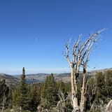 Lake Winnemucca from Carson Pass via Pacific Crest Trail, California ...