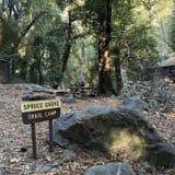 Spruce Grove Campground Trail, California - 517 Reviews, Map | AllTrails