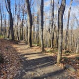 Mount Pinnacle Trail, Quebec, Canada - 1,725 Reviews, Map | AllTrails