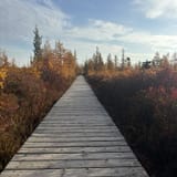 Mer Bleue Bog Trail, Ontario, Canada - 486 Reviews, Map | AllTrails