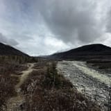 Castner Glacier Trail, Alaska - 724 Reviews, Map | AllTrails