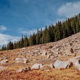 Herman Gulch Trail, Colorado - 9,705 Reviews, Map | AllTrails