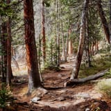 Herman Gulch Trail, Colorado - 9,705 Reviews, Map | AllTrails