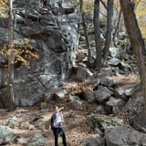 Reeves Brook Loop Trail, New York - 5,230 Reviews, Map | AllTrails