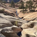 Many Pools Trail, Utah - 1,654 Reviews, Map | AllTrails