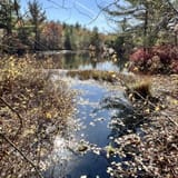 Blue Job Mountain Loop, New Hampshire - 2,393 Reviews, Map | AllTrails