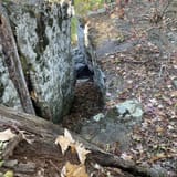 Hideout Hollow Trail, Arkansas - 578 Reviews, Map | AllTrails