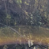 Tinker Falls Upper, New York - 553 Reviews, Map | AllTrails