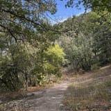 Sandia Cave Trail, New Mexico - 380 Reviews, Map | AllTrails