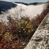 Tioga West Rim Trail, Pennsylvania - 551 Reviews, Map | AllTrails