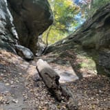 Turkey Run 3, 10, 9, 5 Trails Loop, Indiana - 1,981 Reviews, Map ...