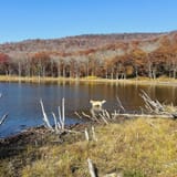 Echo Lake, New York - 480 Reviews, Map | AllTrails