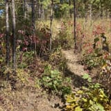 Arkansas Sphinx Trail, Arkansas - 195 Reviews, Map | AllTrails