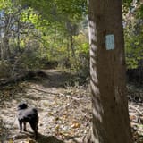 Bear's Den Park Trail, Virginia - 3,075 Reviews, Map | AllTrails