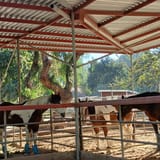 Powder Canyon Loop Trail, California - 2,400 Reviews, Map | AllTrails