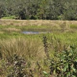 Guana Trail, Marshview Lane, and Shellbluff Road, Florida - 286 Reviews ...