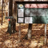 Red Hill Fire Tower Loop Trail, New Hampshire - 1,569 Reviews, Map ...