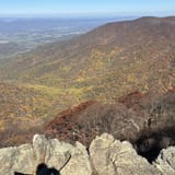Hawksbill Loop Trail, Virginia - 5,338 Reviews, Map | AllTrails