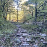 Window Cliffs Trail, Tennessee - 1,597 Reviews, Map | AllTrails