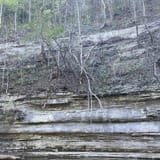 Window Cliffs Trail, Tennessee - 1,597 Reviews, Map | AllTrails