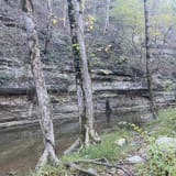 Window Cliffs Trail, Tennessee - 1,597 Reviews, Map | AllTrails