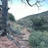 Bell Trail, Arizona - 3,697 Reviews, Map | AllTrails
