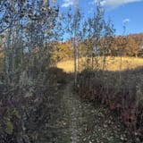 Gander Mountain Loop Trail, Illinois - 514 Reviews, Map | AllTrails