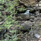See Spring Trail, Arizona - 1,007 Reviews, Map | AllTrails