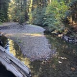 Rockefeller Loop Trail, California - 714 Reviews, Map | AllTrails