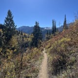 Desolation Lake via Mill D North Fork and Desolation Trail, Utah ...